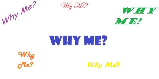 Expedited Trucking Owner Operator Careers and Truck Sales ...